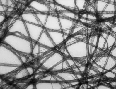 Optical Microscopy Application: Brightfield Illumination